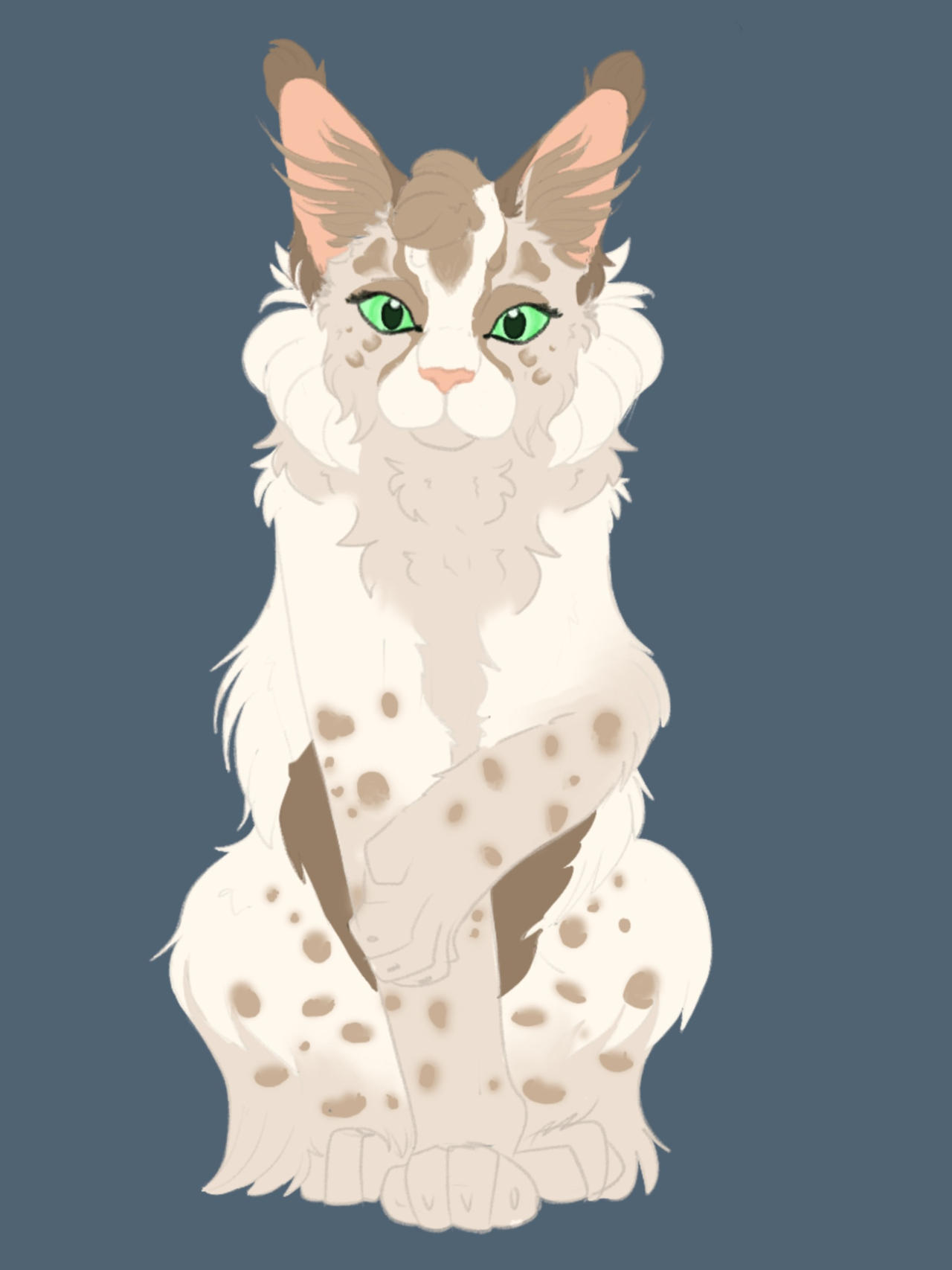 Cottentail By Pidge A Doodle On Deviantart