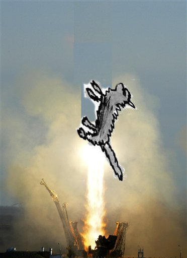 shitty cat-rocket by ascendence-Brooklyn on DeviantArt