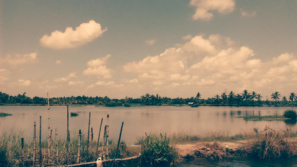 Greenery of Kerala by Vishnu-Dileesh on DeviantArt Greenery of Kerala by Vishnu-Dileesh on DeviantArt