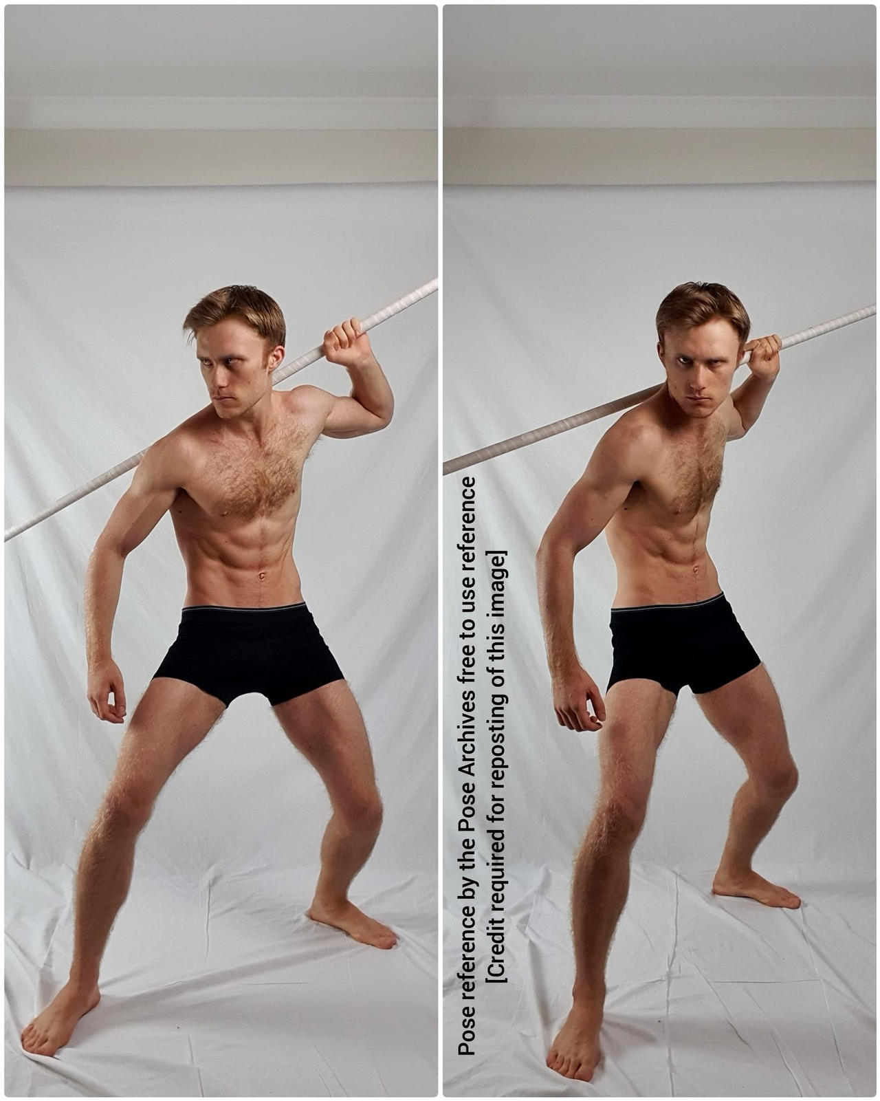 Male With Staff Battle Ready Pose By Theposearchives On Deviantart