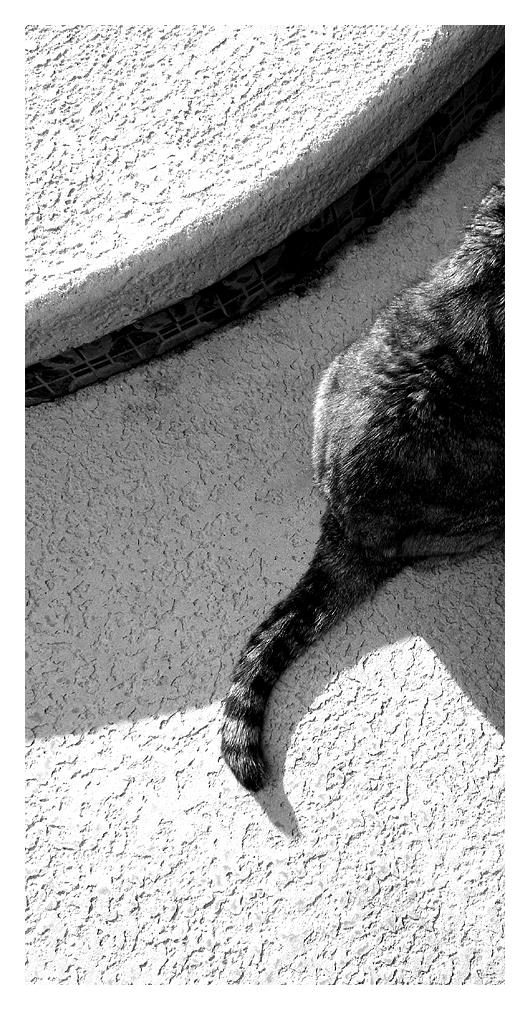 Tail End by The-Definition on DeviantArt