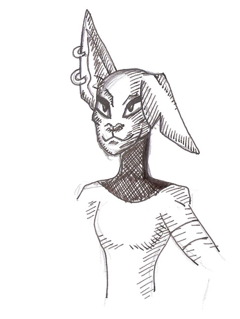 Dragon Ball Character Beerus Species Female By Drexleradam On Deviantart