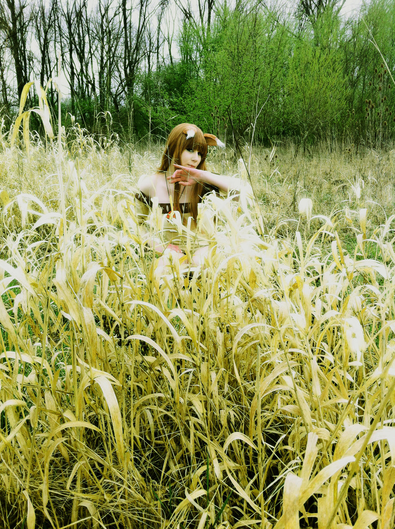 Spice And Wolf Horo Holo Cosplay By K I M I On Deviantart