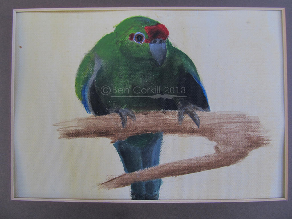 Kakariki By Benzpie On Deviantart