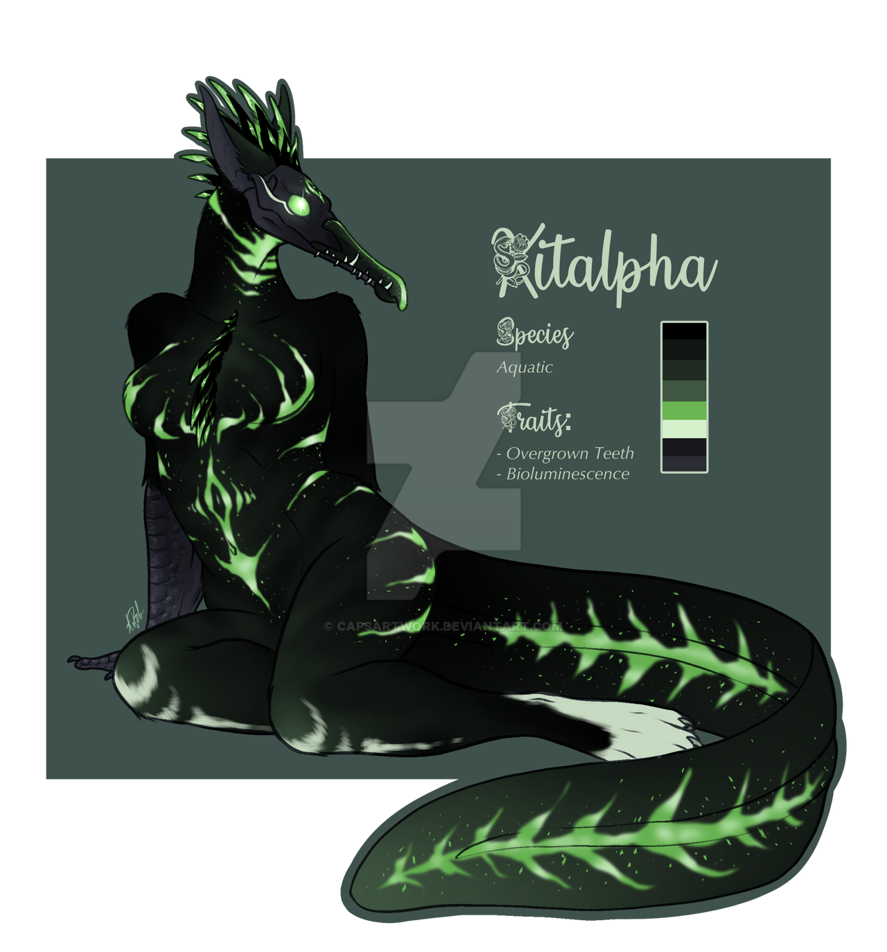 Reference Sheet Kitalpha By Capsartwork On Deviantart