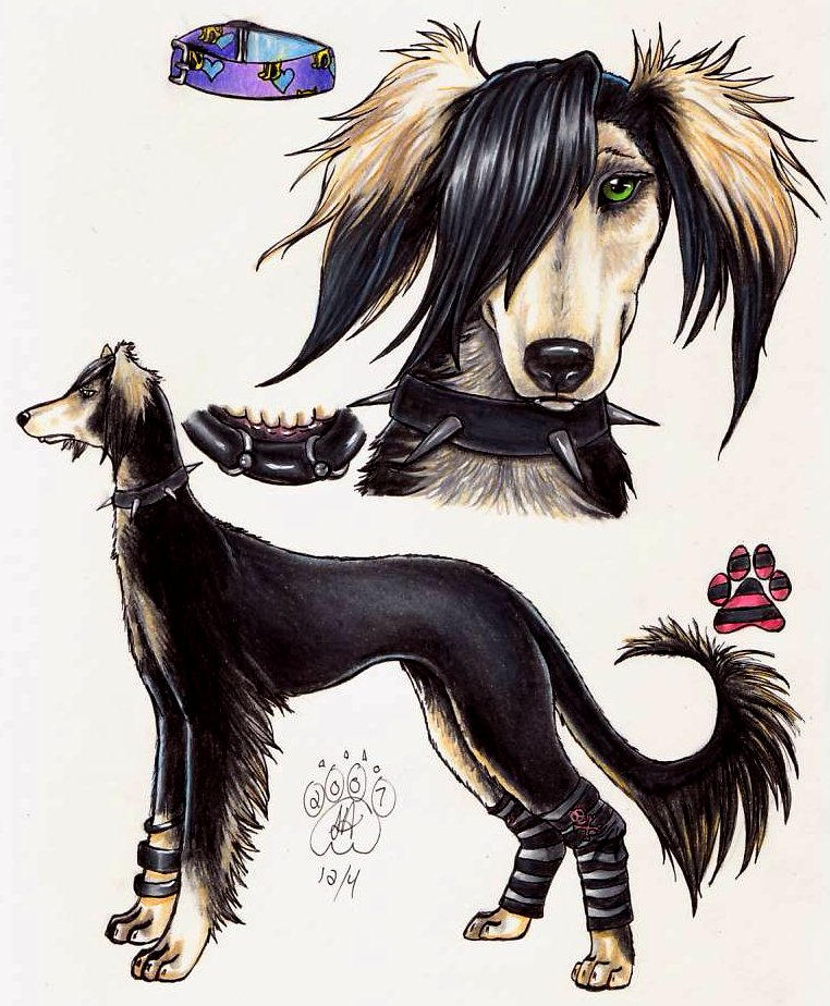 Saluki OC by FelesTacita on DeviantArt