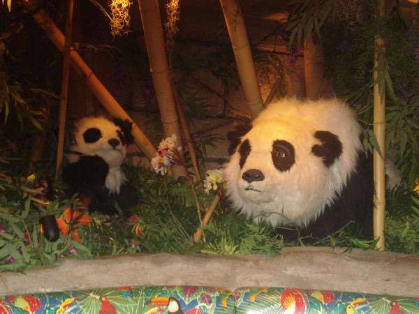 Rainforest Cafe Pandas by narniamushroom02 on DeviantArt