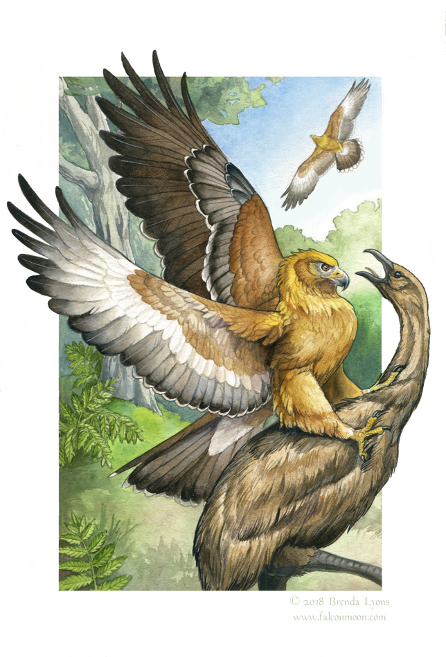 Haasts Eagle Sixth Extinction Deck By Windfalcon On Deviantart