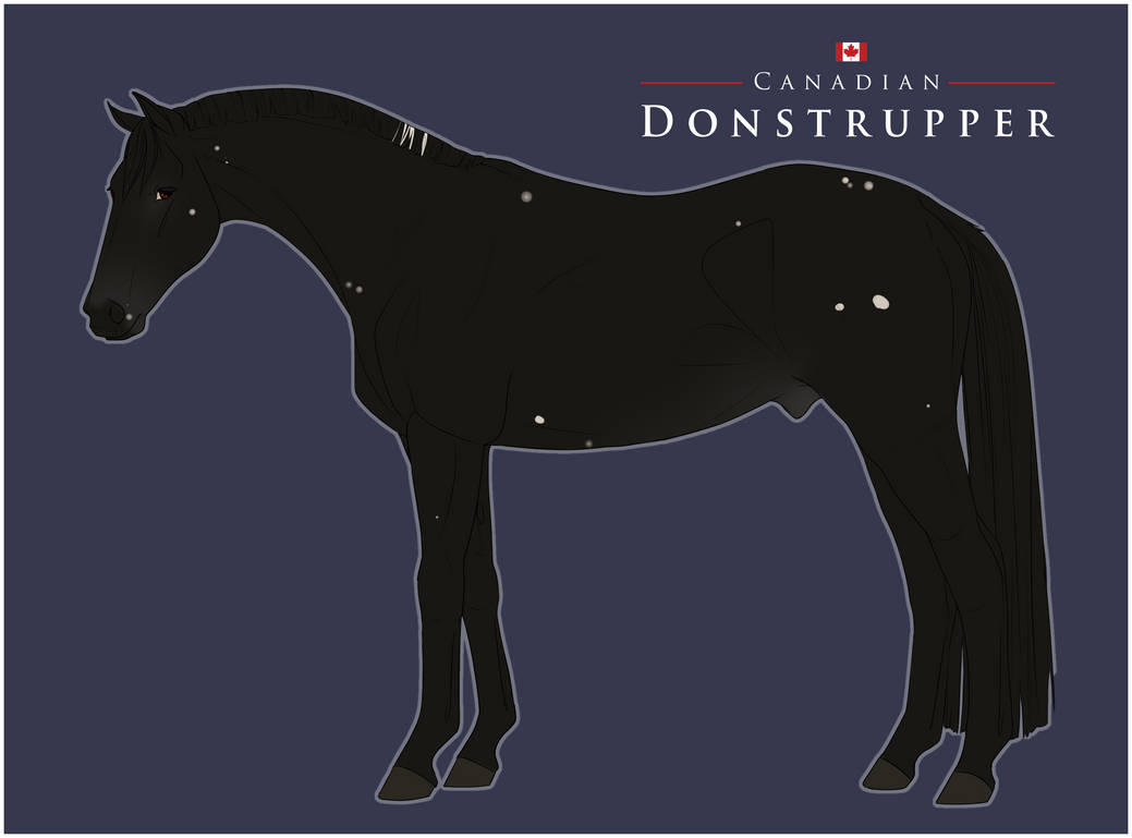 S057 La Nuit Est Une Panthere by DonstrupperAdmin on DeviantArt S057 La Nuit Est Une Panthere by DonstrupperAdmin on DeviantArt