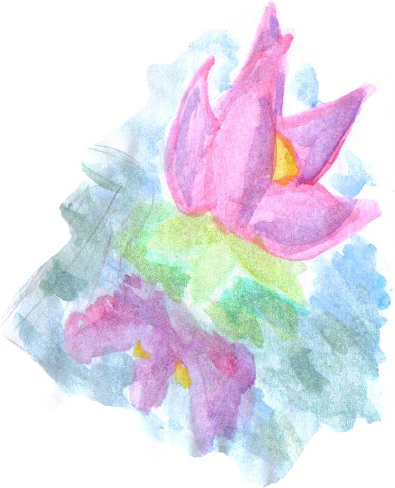 lotus flower by Blondechi on DeviantArt