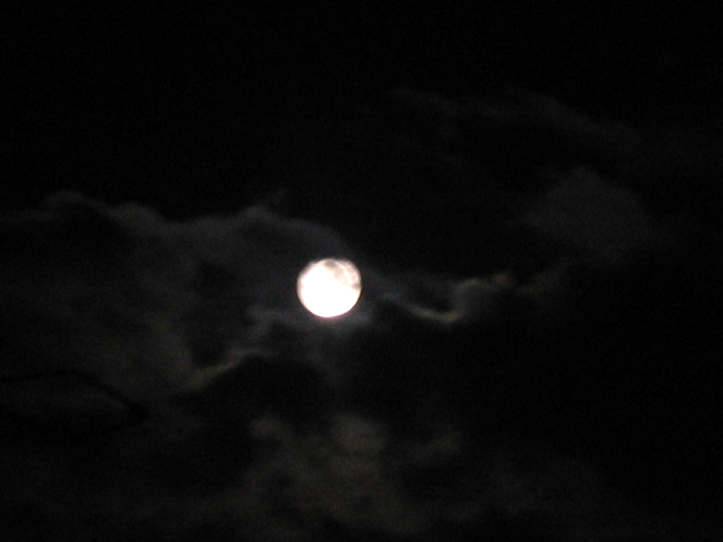 The Moon is a boon. by salaat on DeviantArt
