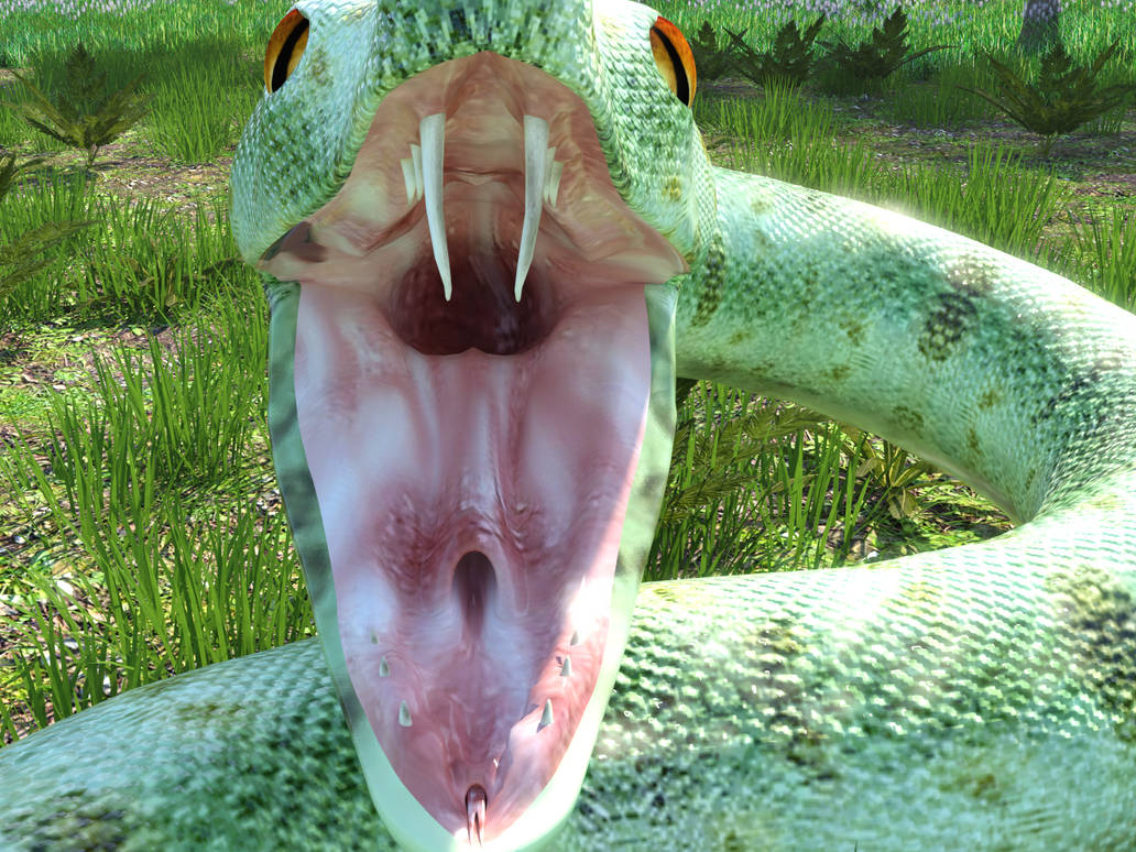 Morphing Python Viper Mawshot B By Jorktheelf On Deviantart