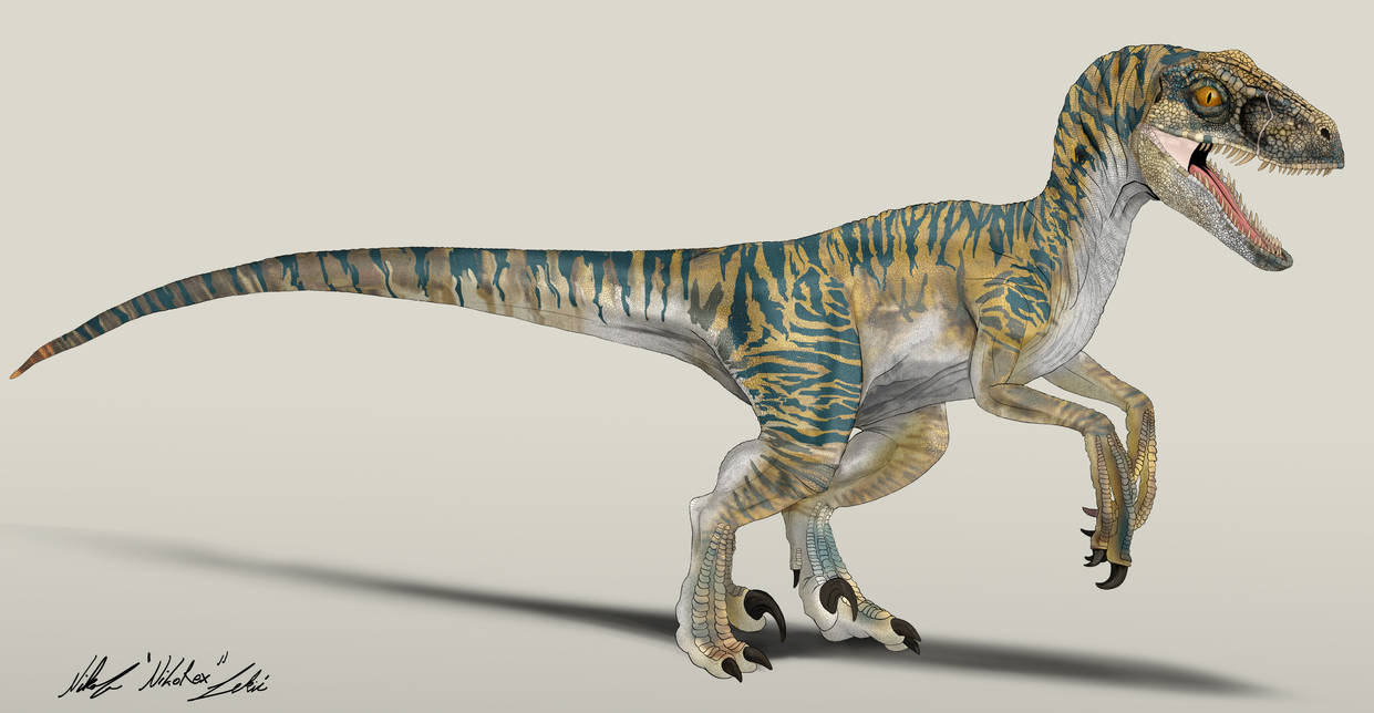 Jurassic World Velociraptor Echo By Nikorex On Deviantart