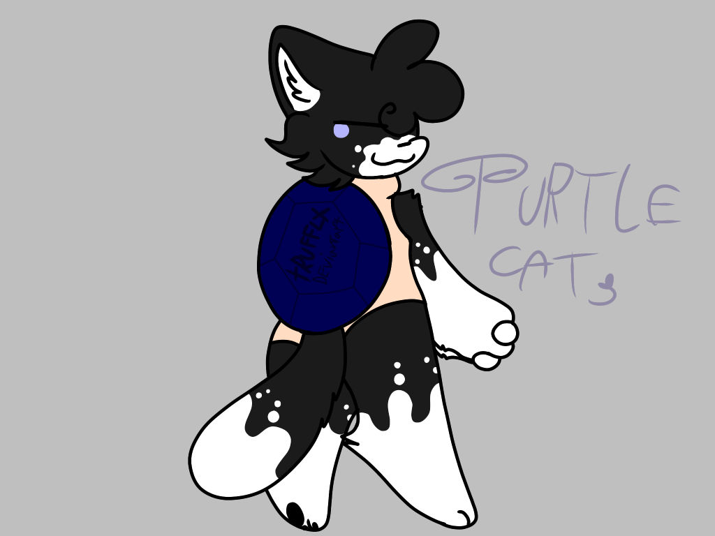 Turtle Cat By Marzzkit On Deviantart