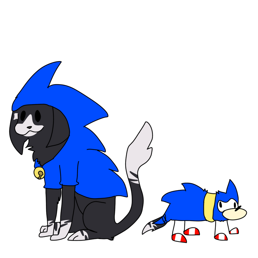 Sonic Morgana By Wulfwuzhere On Deviantart