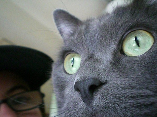 Boris 2 by Trash-Fish on DeviantArt