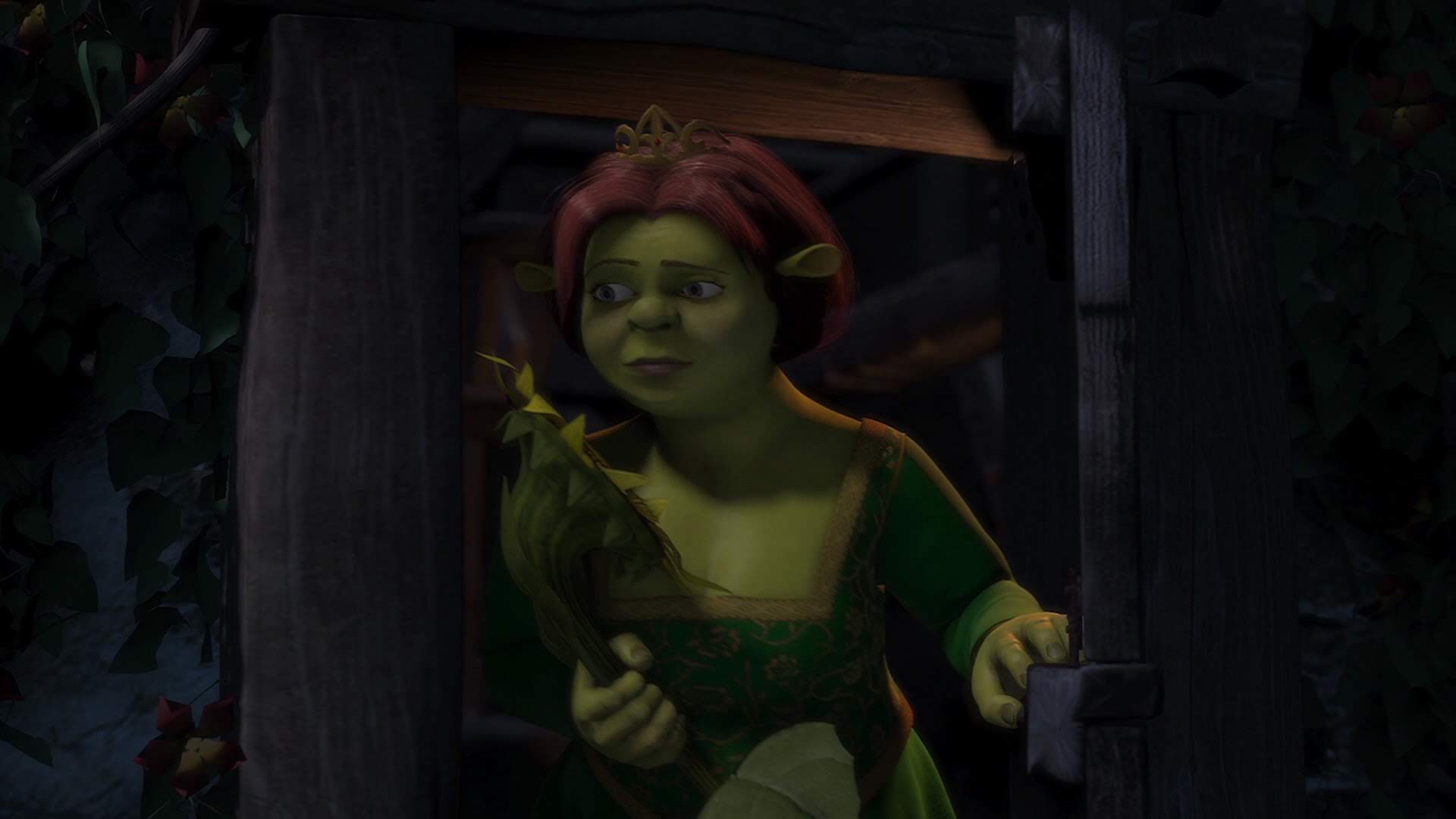 Princess Fiona 34 By Daquanharrison22 On Deviantart