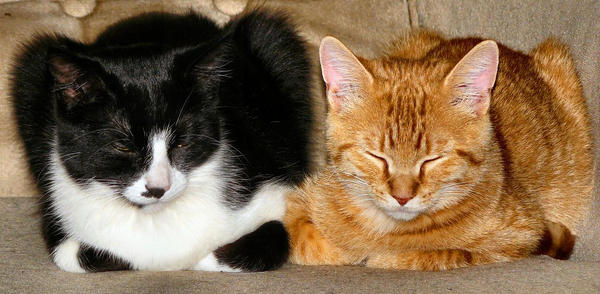 Adolf and Jack by TheSideKick on DeviantArt