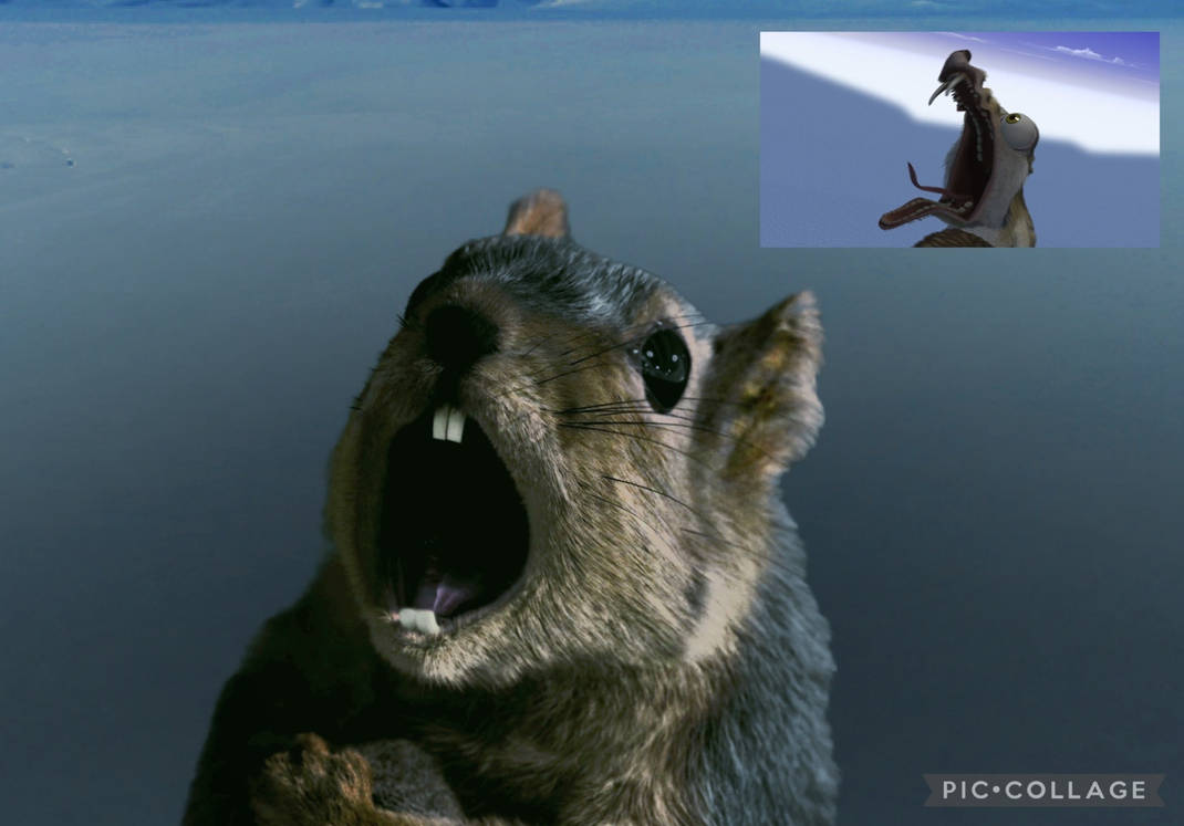 Live Action Ice Age Scrat Screams By Collegeman1998 On Deviantart