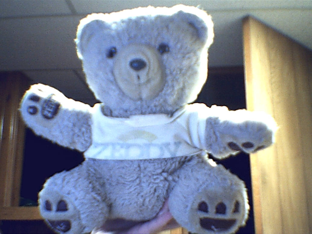 The Teddy Bear Of Doom by ShadowPhoto on DeviantArt