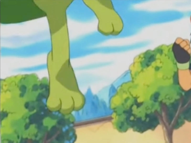 Pokemon Rs E10 Treecko Feet By Giuseppedirosso On Deviantart