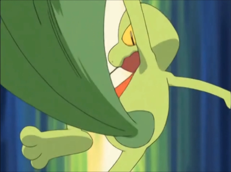 Pokemon Rs E56 Treecko Feet By Giuseppedirosso On Deviantart