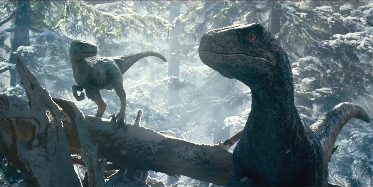 Jurassic World Dominion Beta Blue 1 By Giuseppedirosso On Deviantart