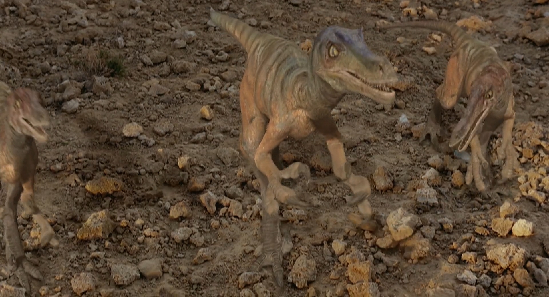 Dinosaur 2000 Velociraptors 1 By Giuseppedirosso On Deviantart