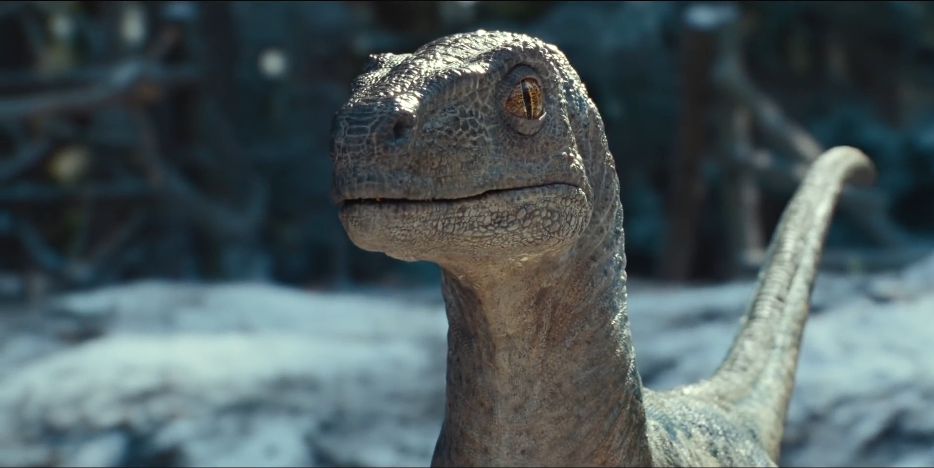 Jurassic World Dominion Beta 1 By Giuseppedirosso On Deviantart