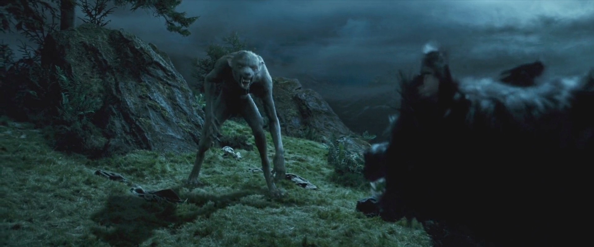 Harry Potter Professor Lupin Werewolf Harry Potter Professor Lupin Werewolf