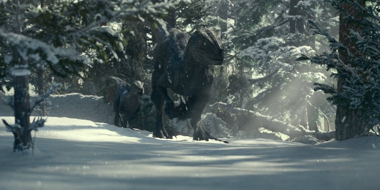 Jurassic World Dominion Beta Blue By Giuseppedirosso On Deviantart