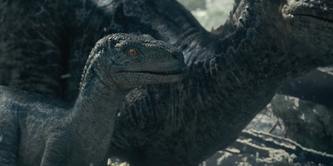 Jurassic World Dominion Beta 4 By Giuseppedirosso On Deviantart