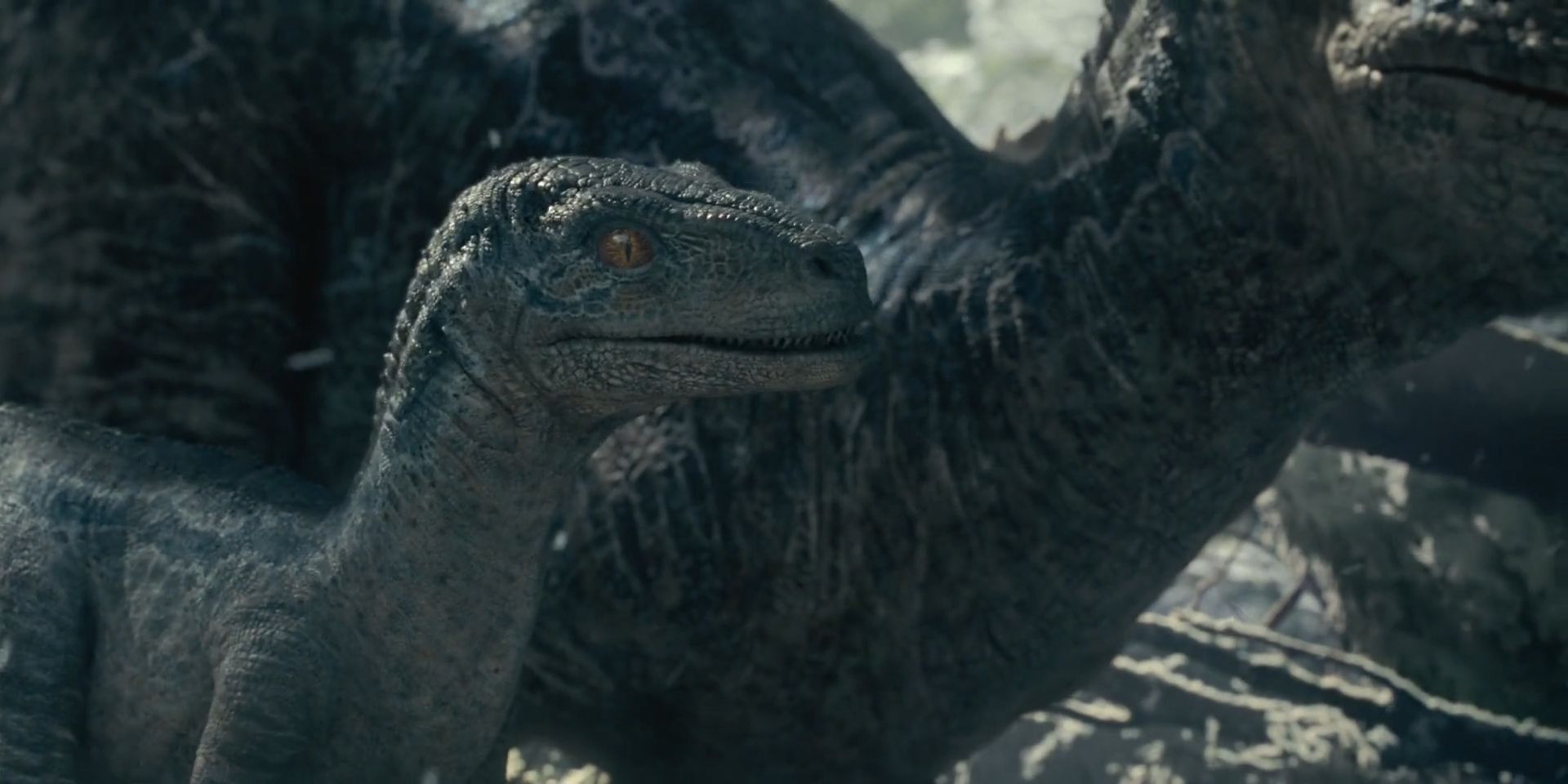 Jurassic World Dominion Beta 4 By Giuseppedirosso On Deviantart