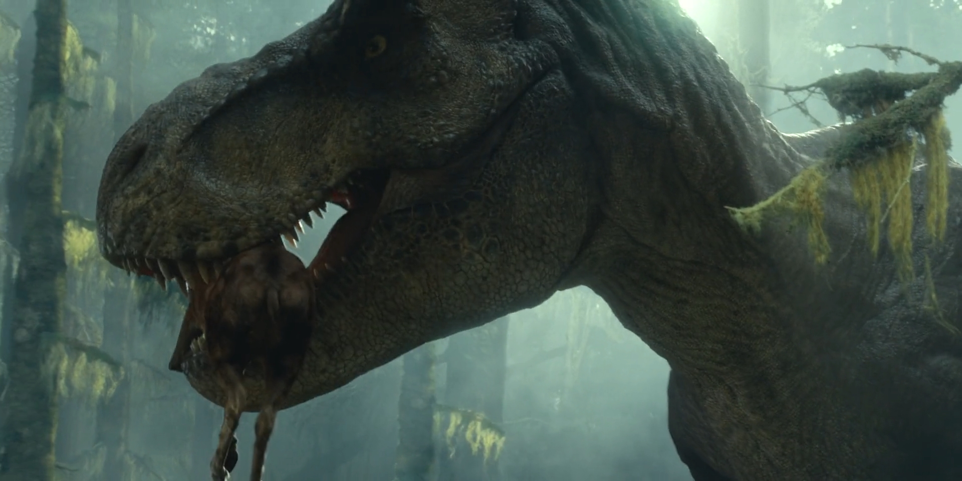Jurassic World Dominion Poster T Rex Rexy Hd 2022 Jur - vrogue.co Jurassic World Dominion Poster T Rex Rexy Hd 2022 Jur - vrogue.co