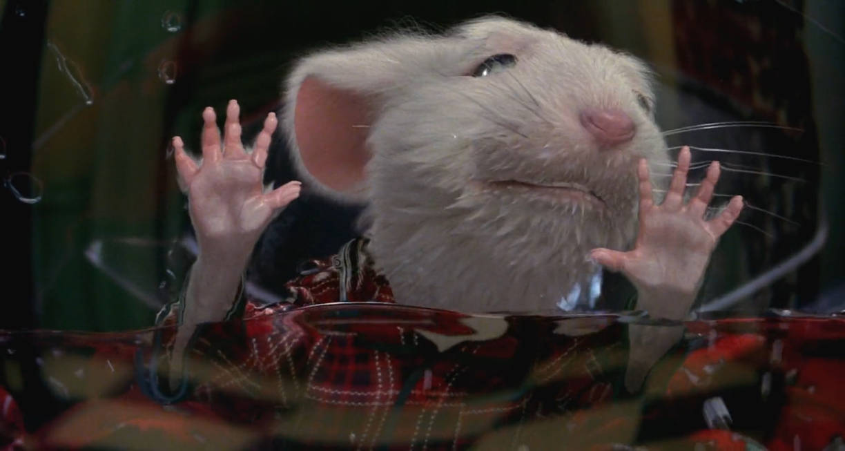 Stuart Little-Stuart 2 by GiuseppeDiRosso on DeviantArt Stuart Little-Stuart 2 by GiuseppeDiRosso on DeviantArt