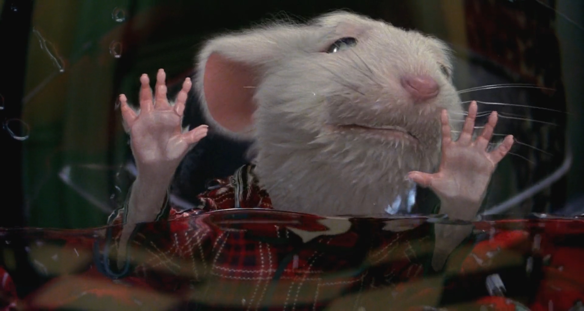 Stuart Little-Stuart 2 by GiuseppeDiRosso on DeviantArt Stuart Little-Stuart 2 by GiuseppeDiRosso on DeviantArt