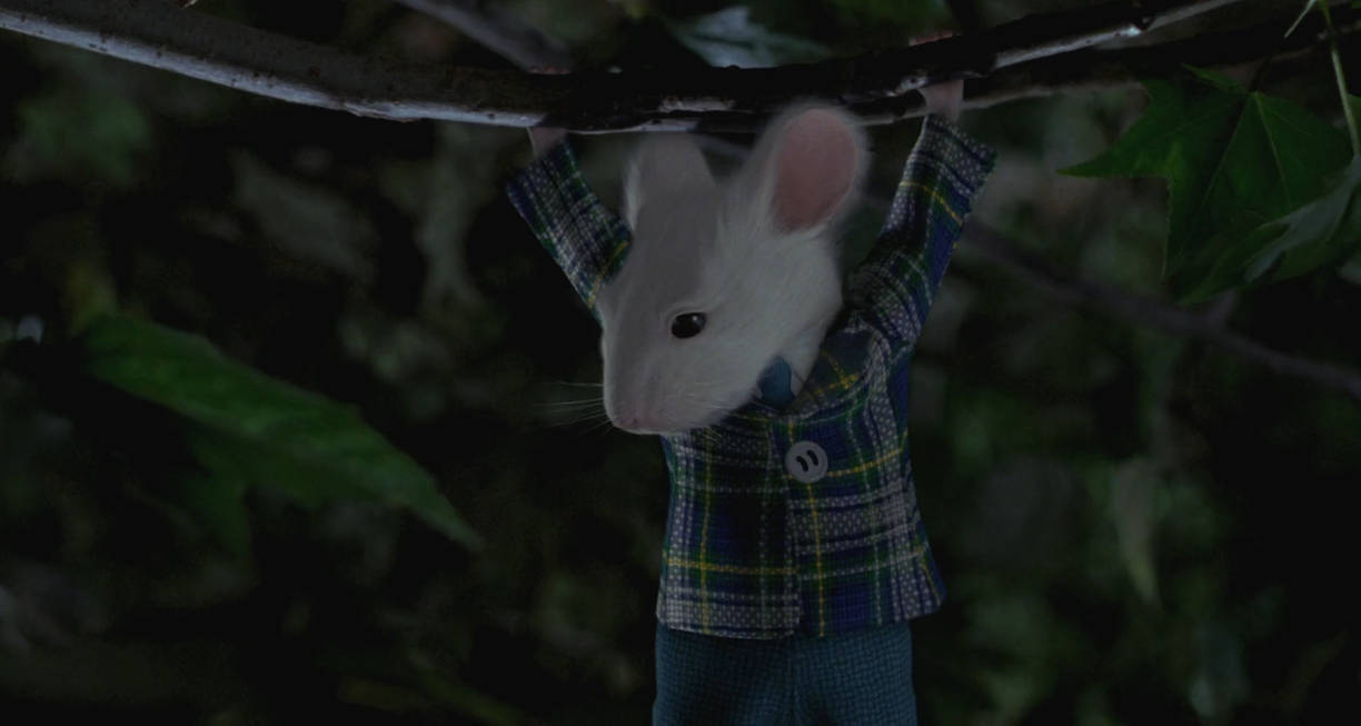 Stuart Little-Stuart 8 by GiuseppeDiRosso on DeviantArt Stuart Little-Stuart 8 by GiuseppeDiRosso on DeviantArt