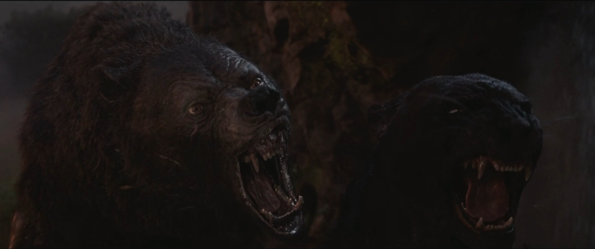Mowgli Bagheera Baloo By Giuseppedirosso On Deviantart