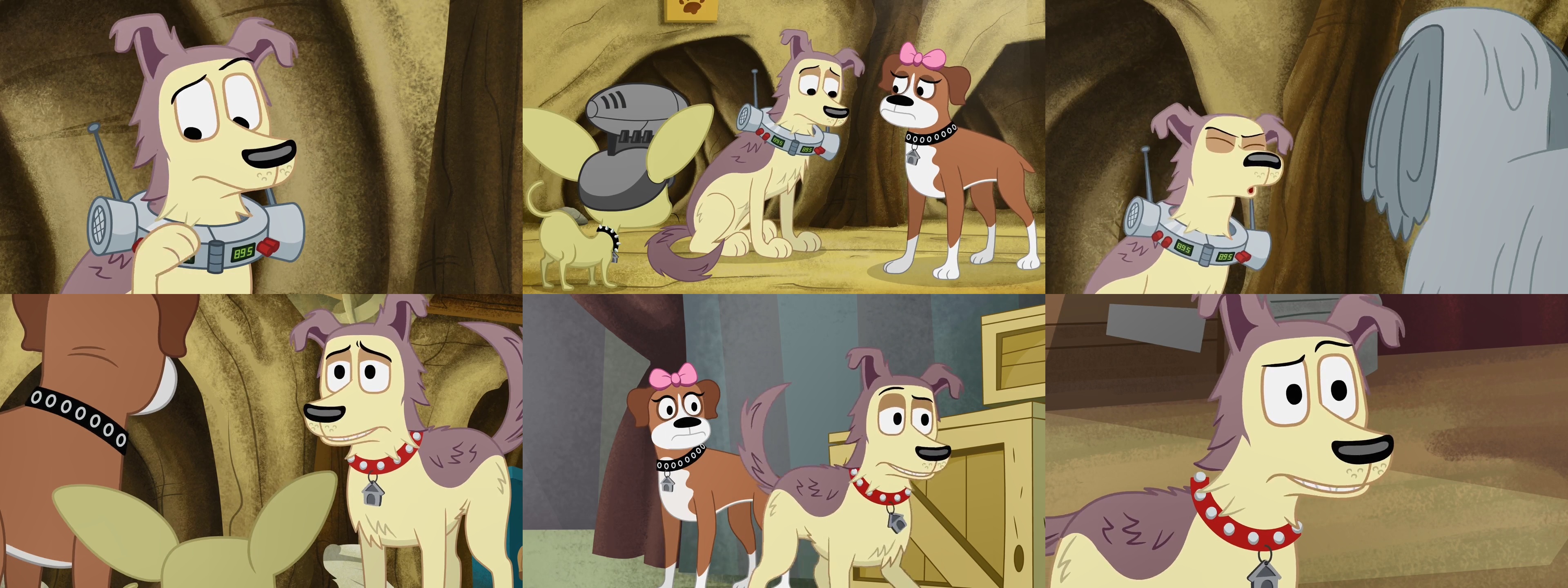 Pound Puppies 2010 S1 E10 Lucky Montage 1 By Giuseppedirosso On Deviantart