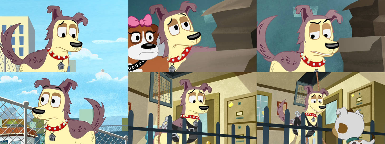 Pound Puppies 2010 S2 E5 Lucky Montage 1 By Giuseppedirosso On Deviantart