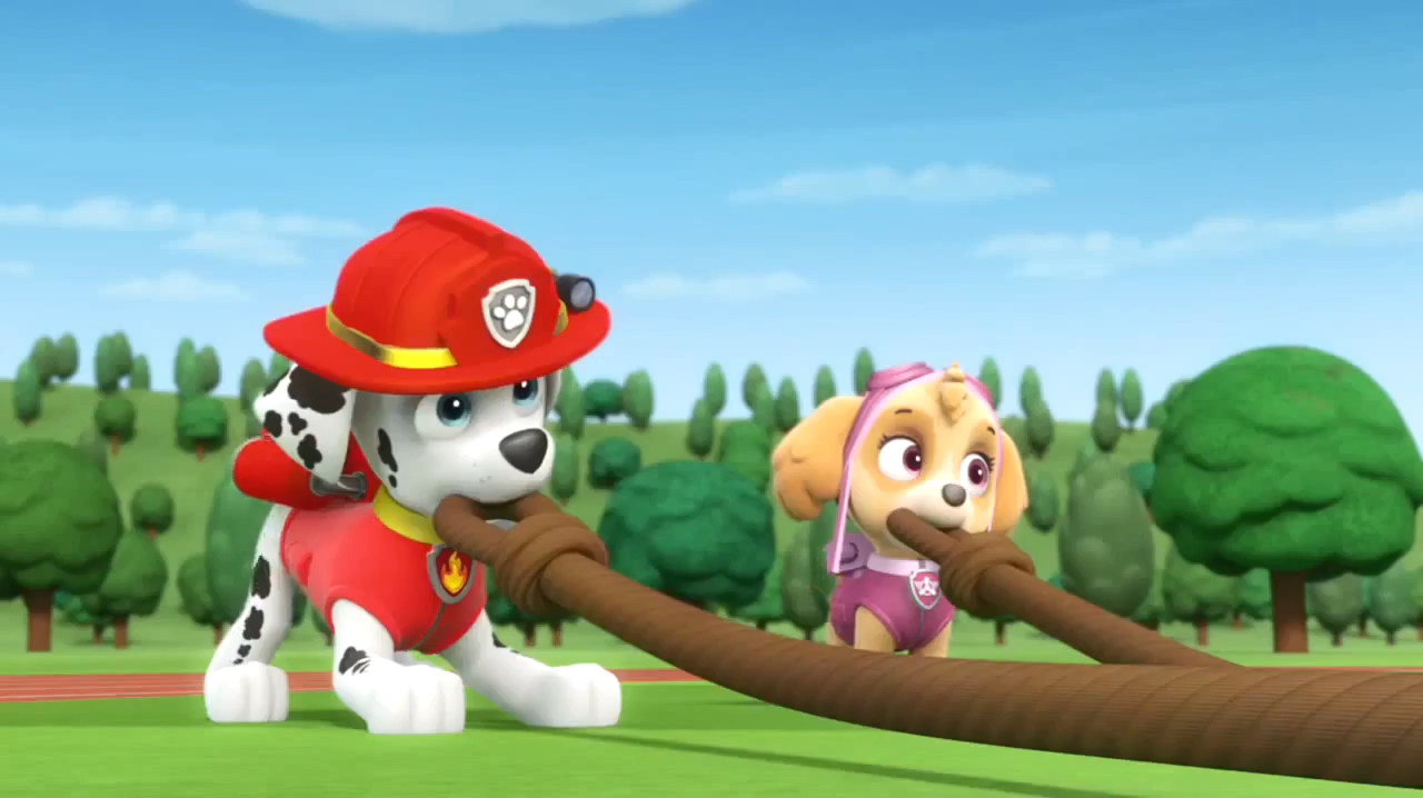 Paw Patrol S1 E7 Marshall Skye By Giuseppedirosso On Deviantart