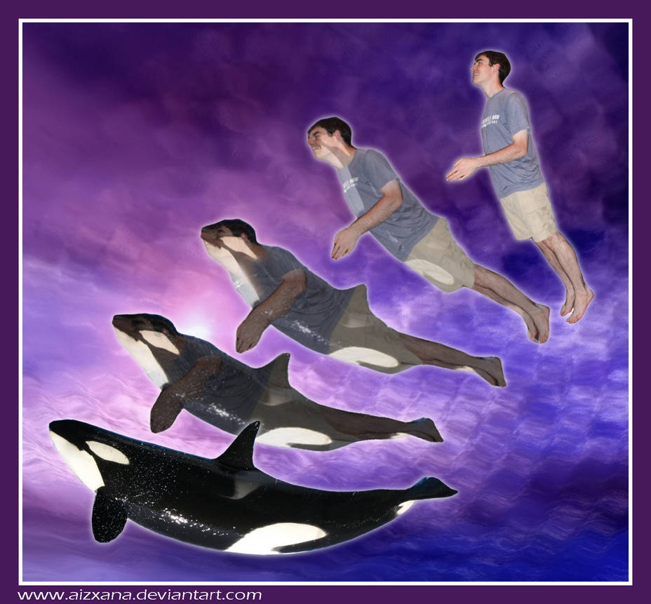 Orca Morph by Aizxana on DeviantArt