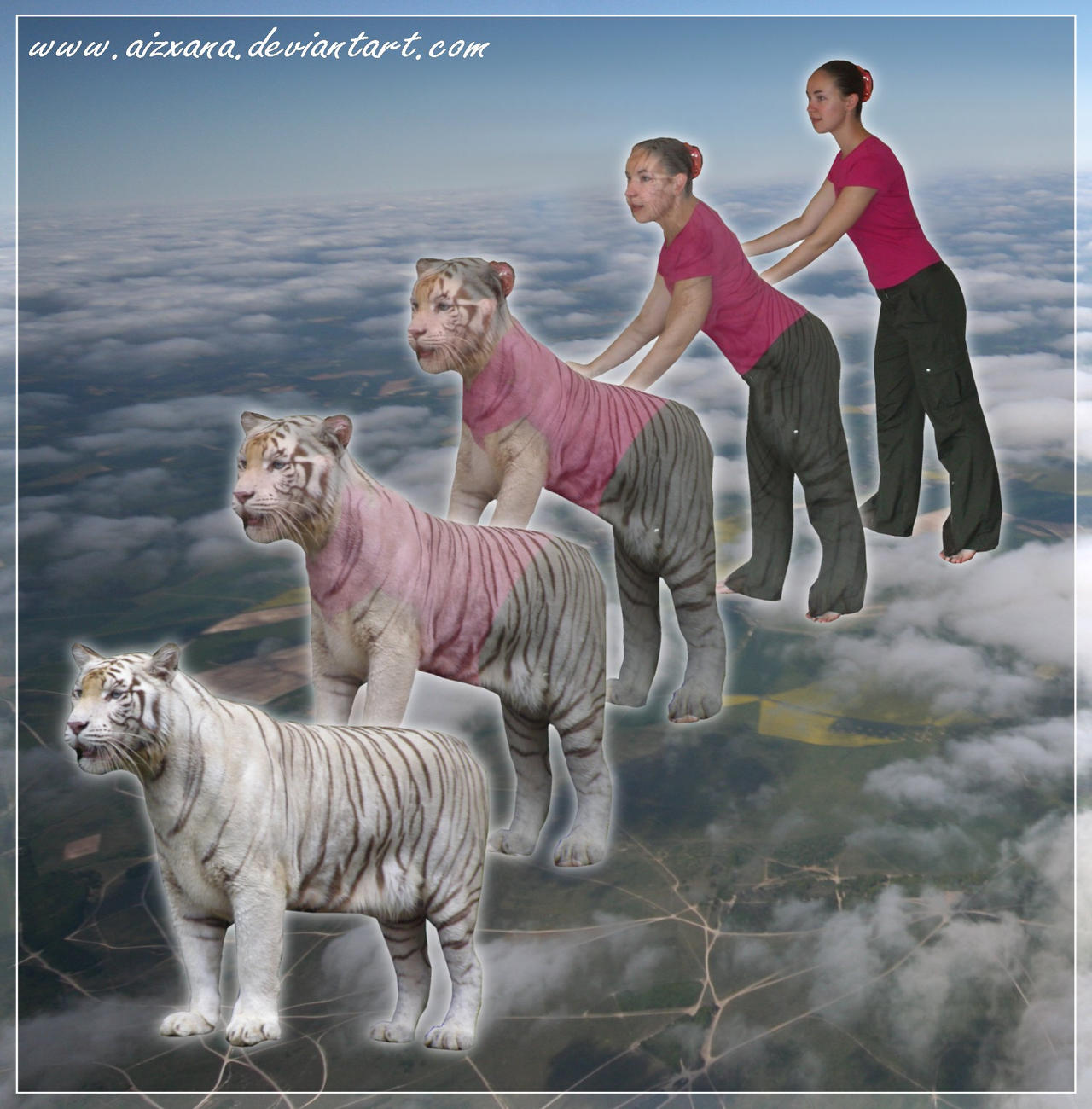 White Tiger Morph by Aizxana on DeviantArt