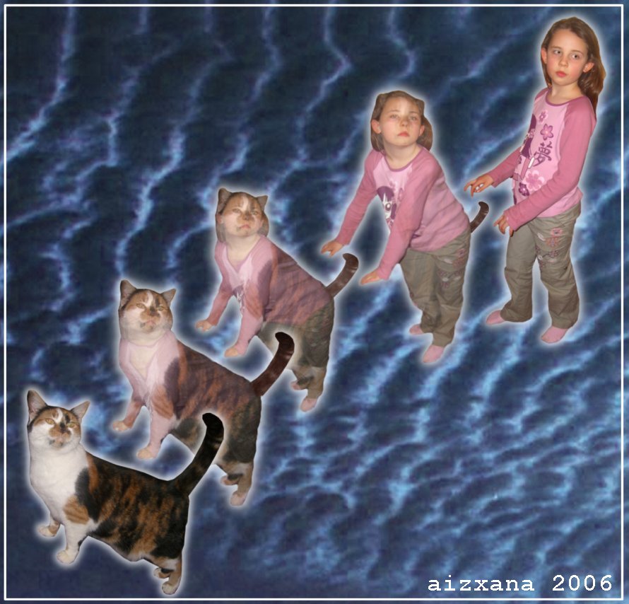 Cat Morph III by Aizxana on DeviantArt