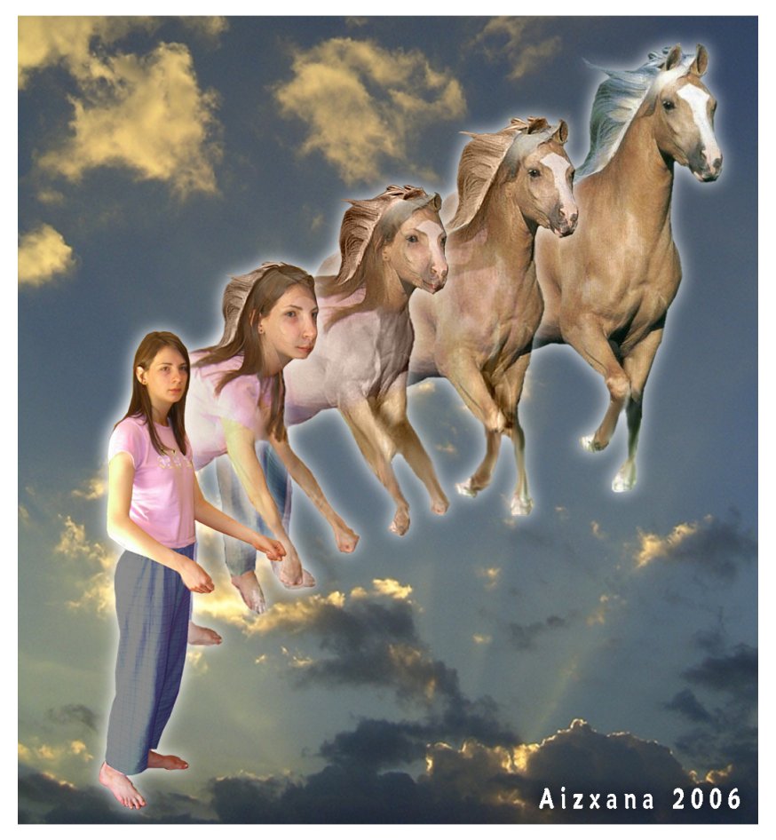 Horse Morph by Aizxana on DeviantArt