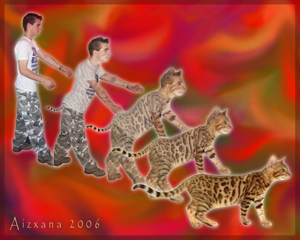 Ocelot Morph by Aizxana on DeviantArt