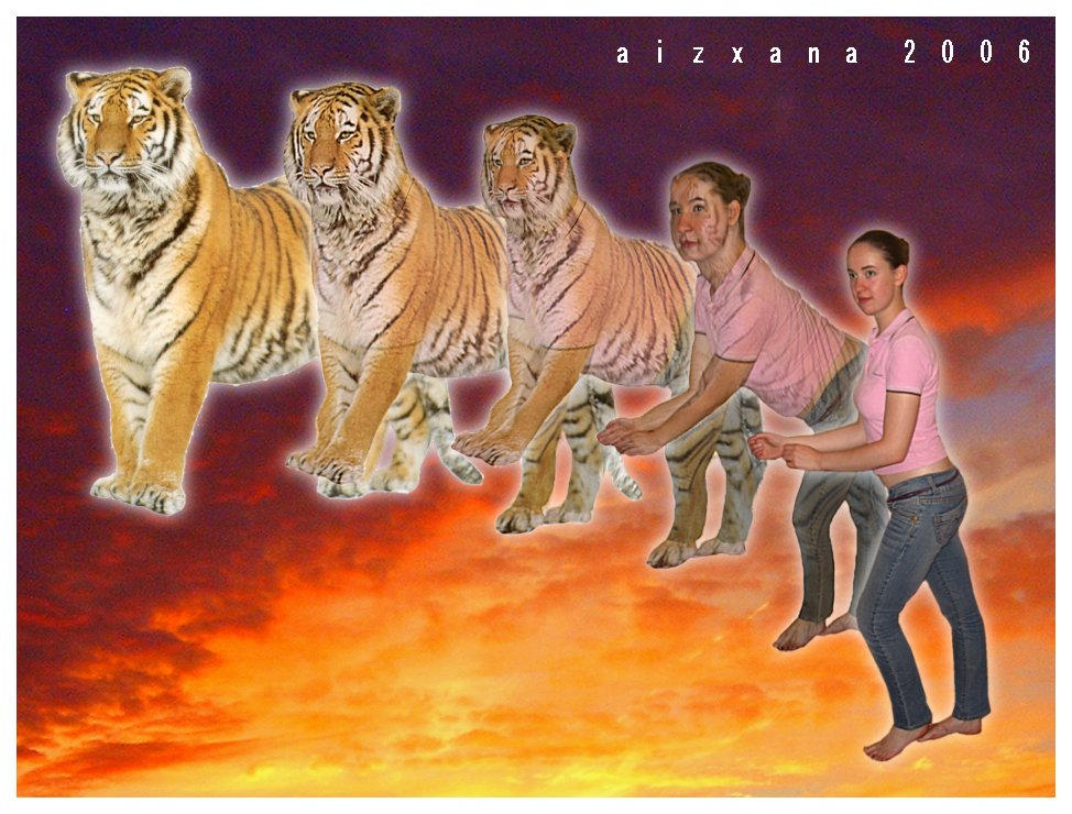 Tiger Morph by Aizxana on DeviantArt