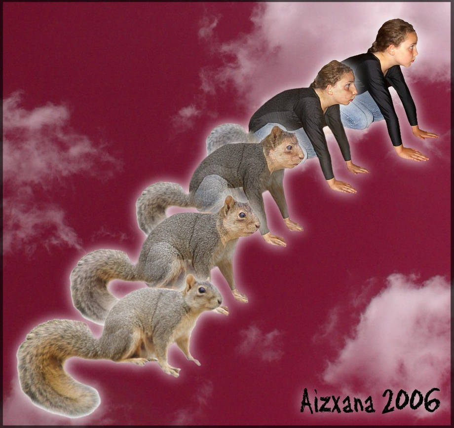 Squirrel Morph by Aizxana on DeviantArt