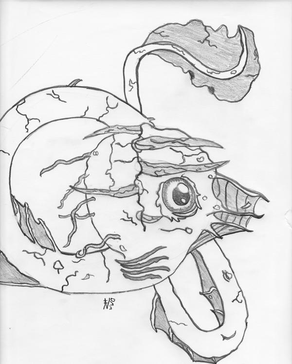 evil fish by Hooch96 on DeviantArt