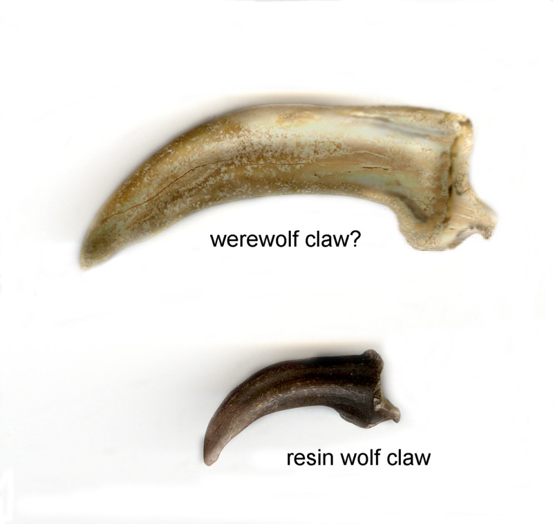 Realistic Werewolf Claws